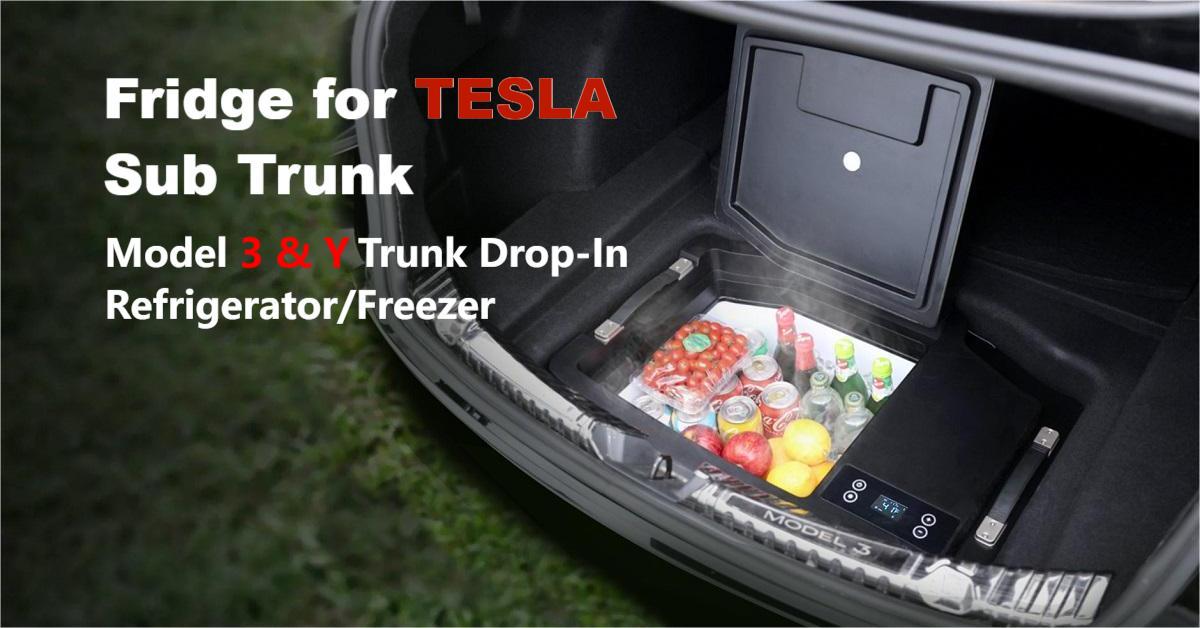 El frigorífico Tesla: el primer congelador portátil del mundo para el ...
